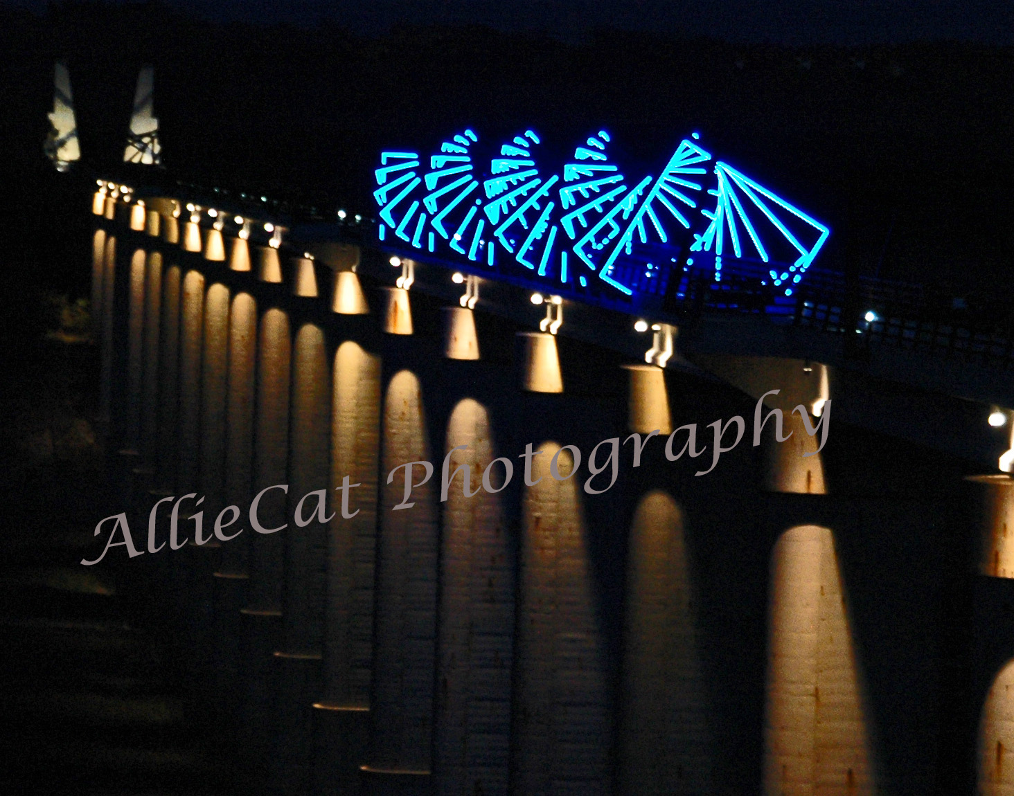 AllieCat Photography: High Trestle Trail Bridge at Night