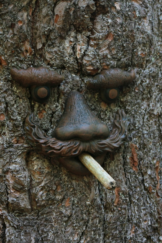 JunkinJane: My Tree Man Face
