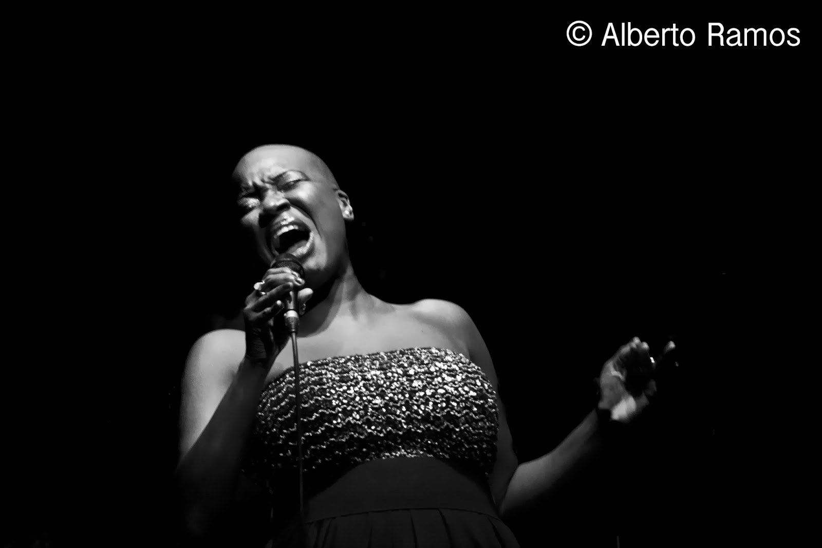 jazz ceuta: Janine Johnson y Raíles Blues Band