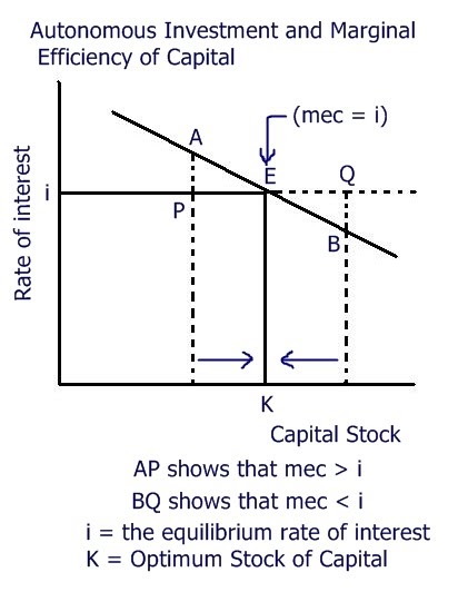 Courage to Know: Autonomous Investment