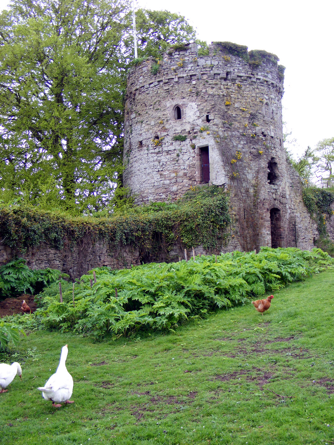 Licence to Crenellate: Usk Castle, Monmouthshire