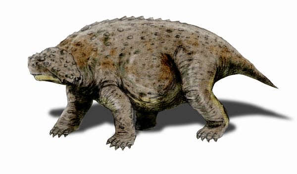 Palaeocritti Blog: Pareiasuchus
