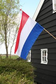 Neu Bruderthaler: Russian Mennonite Flag