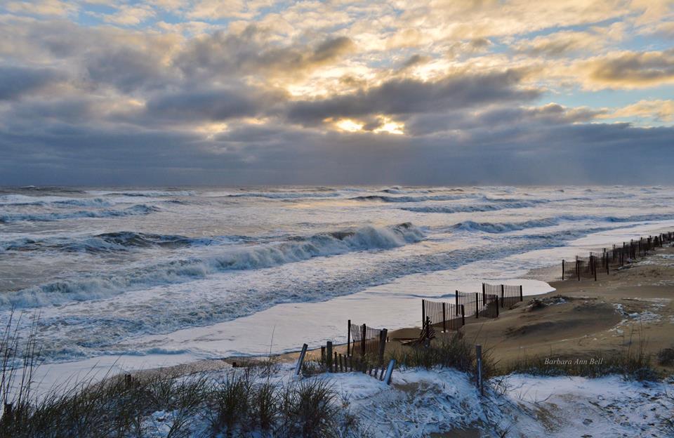 Seasons in Upper Turkeyfoot: A Mindful Turbulence