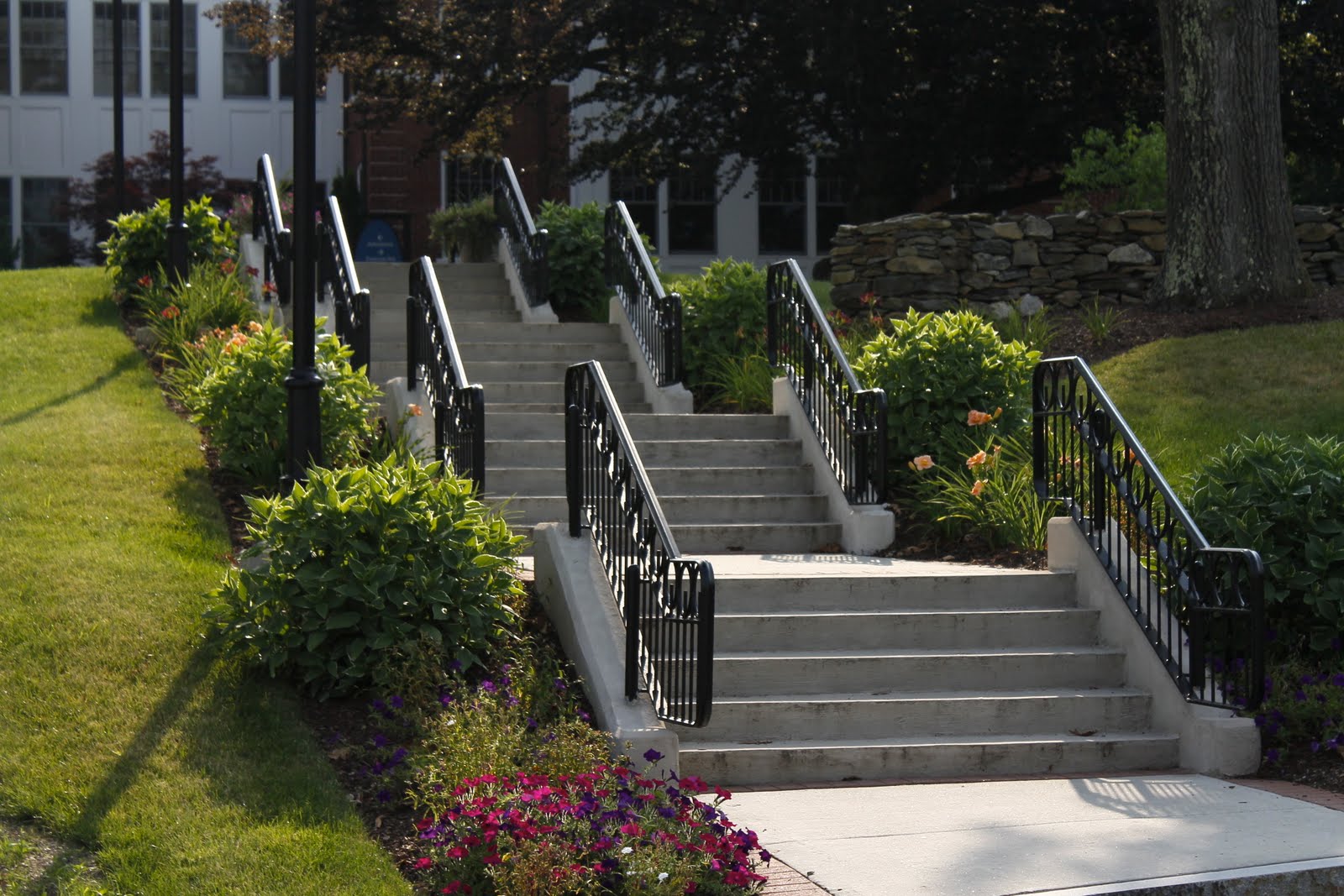 365 Photos in 365 Days: Day 204 - Staggered Stairs