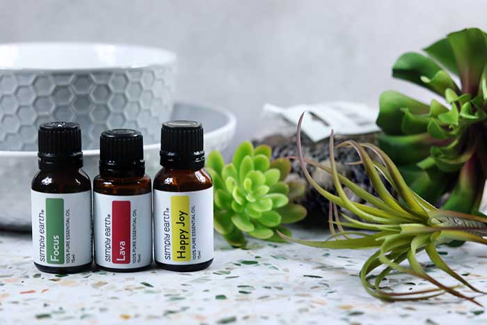 Succulent DIY Essential Oil Diffuser (Dollar Tree Craft) - Everything ...