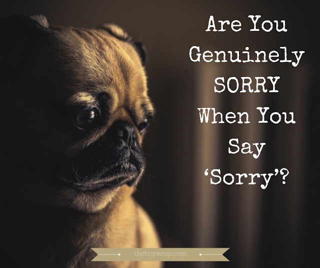 Are You Genuinely SORRY When You Say ‘Sorry’?