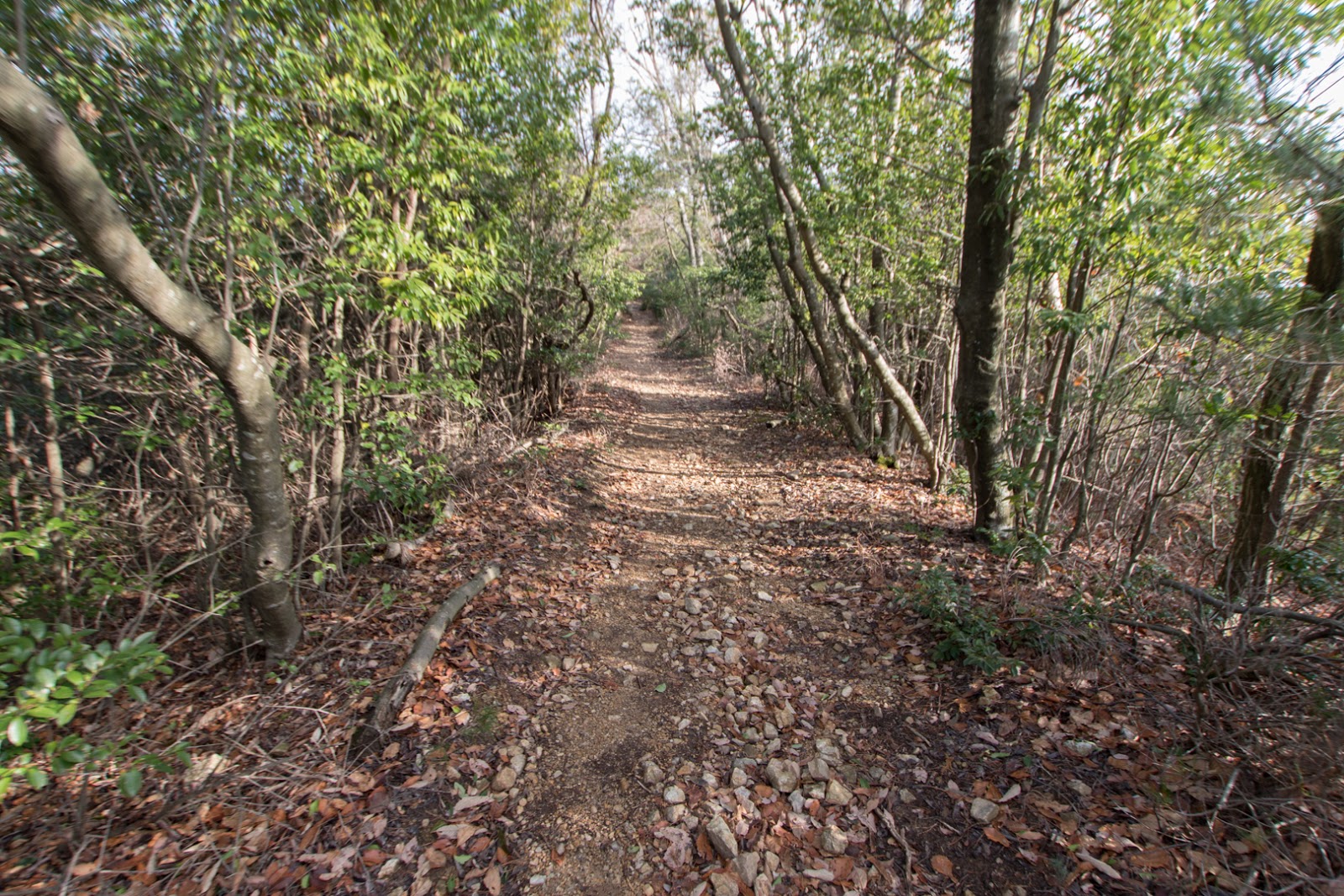 Odani Castle (1) -History of three generation of Azai clan- | Ken's ...