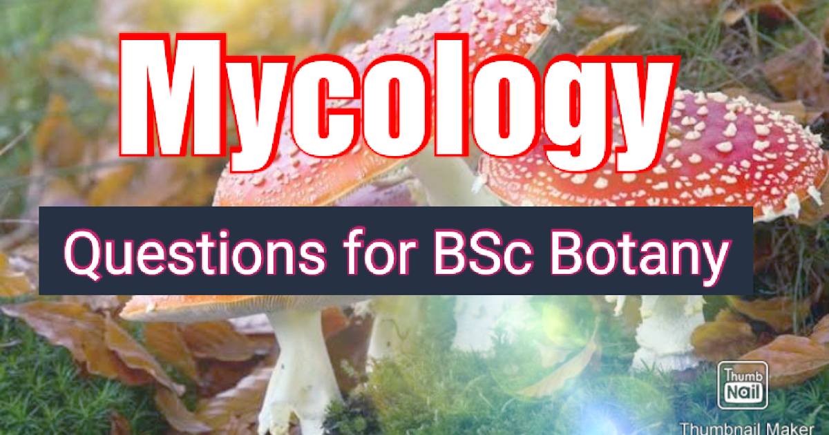 Mycology And Lichenology Important Questions For BSc Honours Mycology mycology-and-lichenology-important-questions-for-bsc-honours-mycology