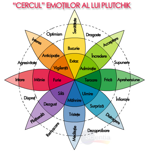 Cercul emotiilor | Calatoria prin viata