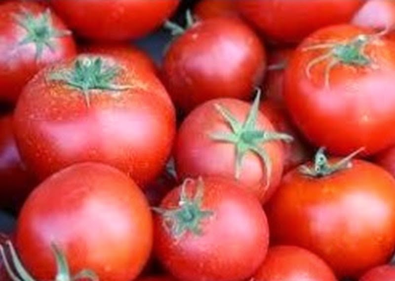 Granny B Farms: Geranium Kiss Tomato