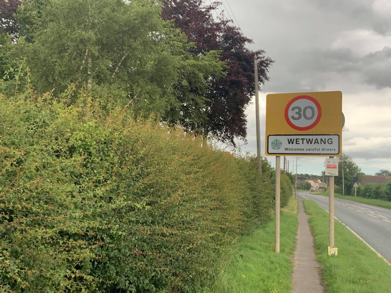 Birding with Flowers: Wet Tolkien Connections