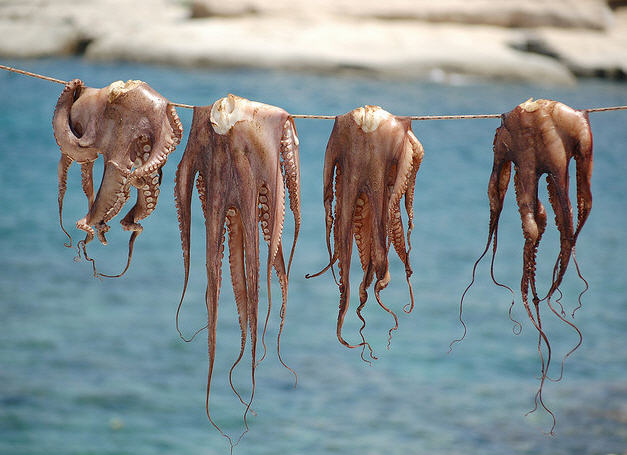 Zilte Zee: Eilanden in de uitverkoop