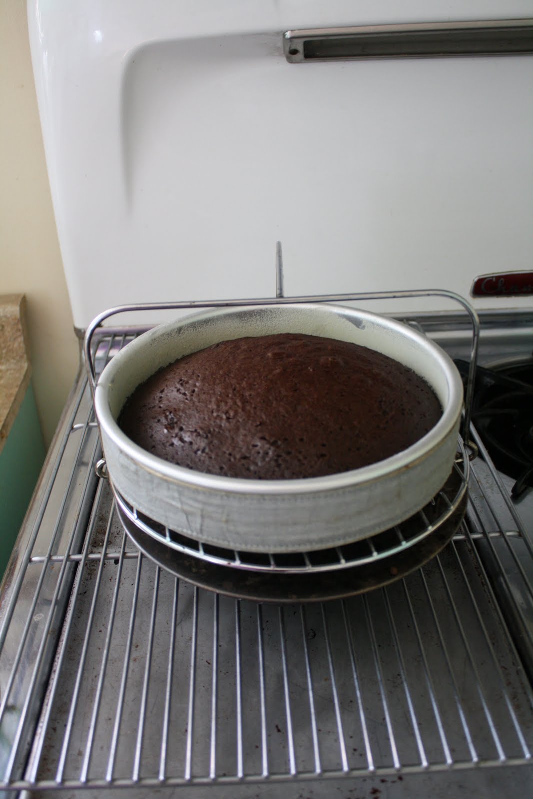 Elastic Moose: Chambers Stove Love