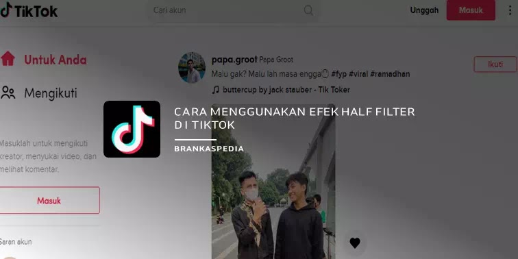 Cara Menggunakan Efek Half Filter TikTok - Brankaspedia - Blog tutorial dan tips