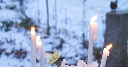 Tony's Musings: Imbolc: A Poem