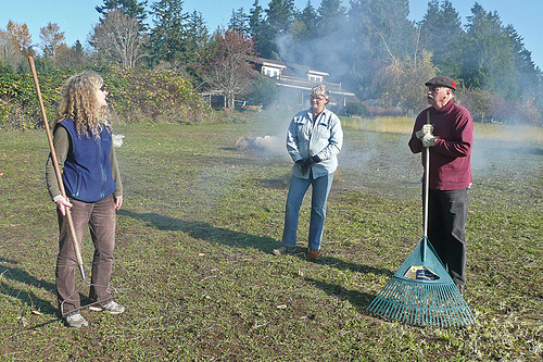 flax to linen victoria bc: Harvest