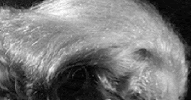 Art Project @ SIM - Scuola Italiana di Montevideo: Lesson # 2 - Joaquín ...