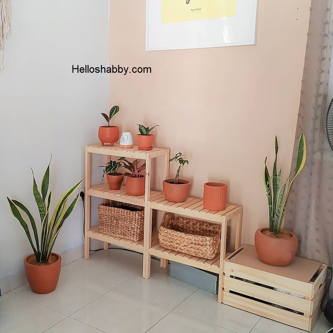 7 Ide Kreasi Palet Kayu Untuk Rak Tanaman di Taman, Dijamin Teras Rumah ...