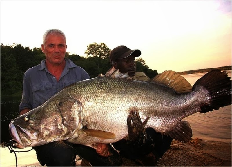 Na África Selvagem: Jeremy Wade e os seus 21 monstros do rio criaturas ...