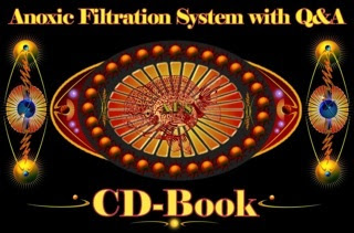 Anoxic Filtration System: Understanding what Facultative anaerobic ...