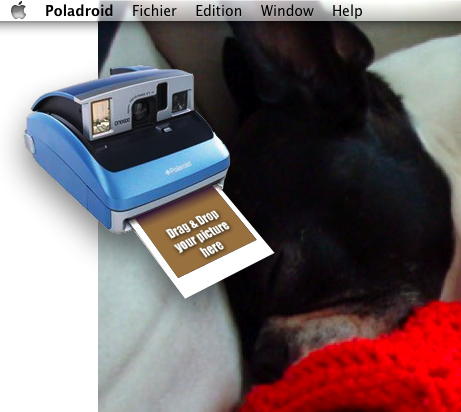 brandy-son Zen master flash: DIY Your Own Polaroids