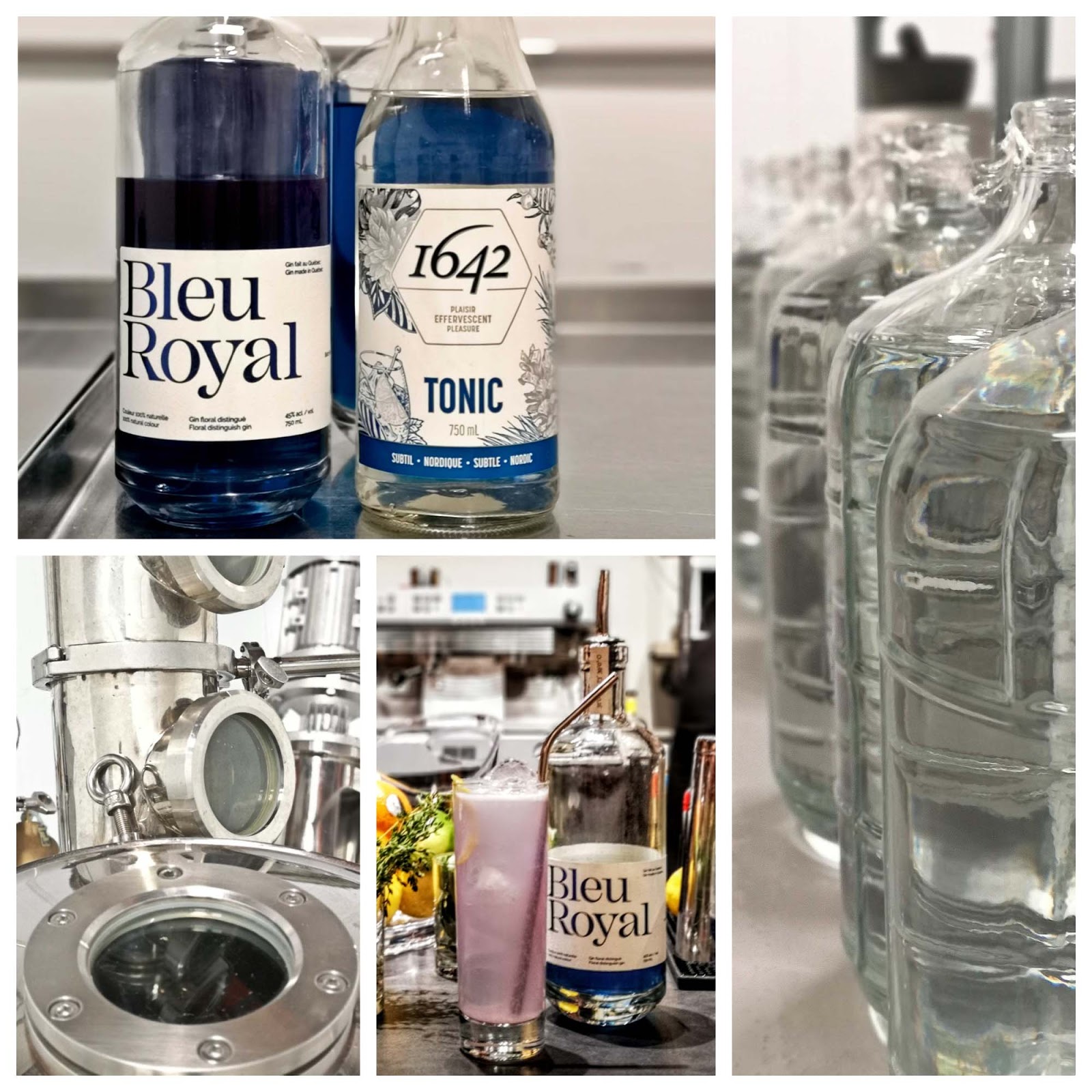 Bleu Royal, le gin bleu adoré des Québécois