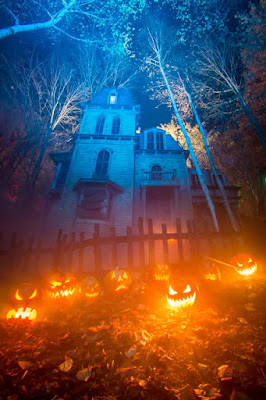 PUMPKINROT.COM: The Blog: 2019