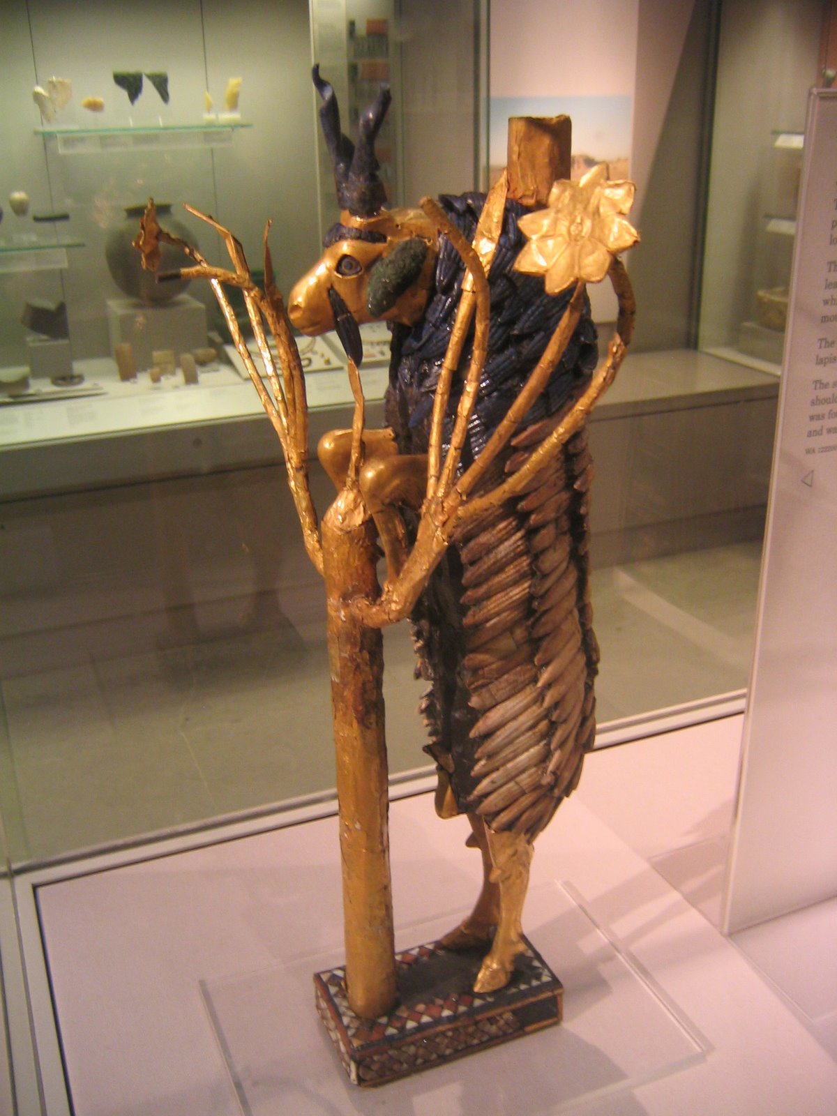 Journey Across the Line: FAITH OR CULT?