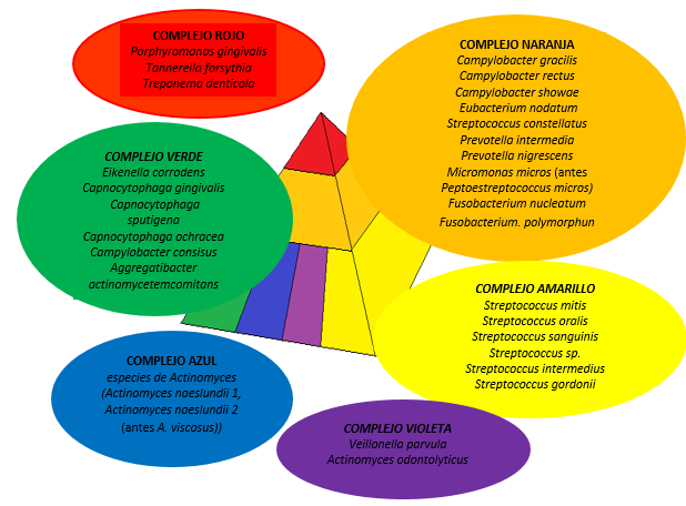 PERIODONTOLOGÍA 1 - Ruiz Provenzano María Emilia