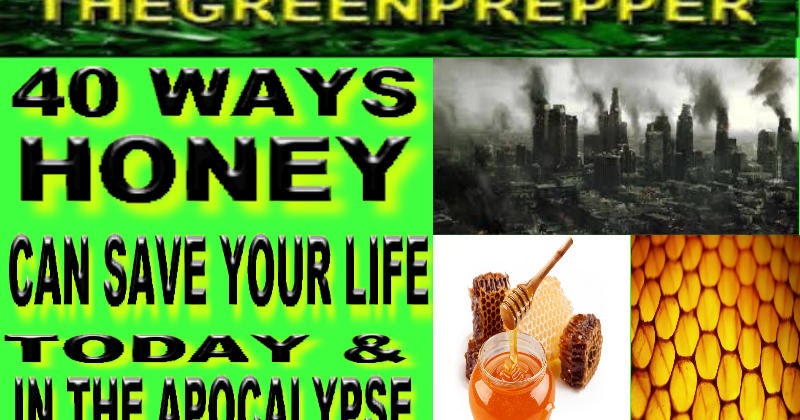 THE GREEN PREPPER: 40 WAYS HONEY CAN SAVE YOUR LIFE TODAY & IN AN ...
