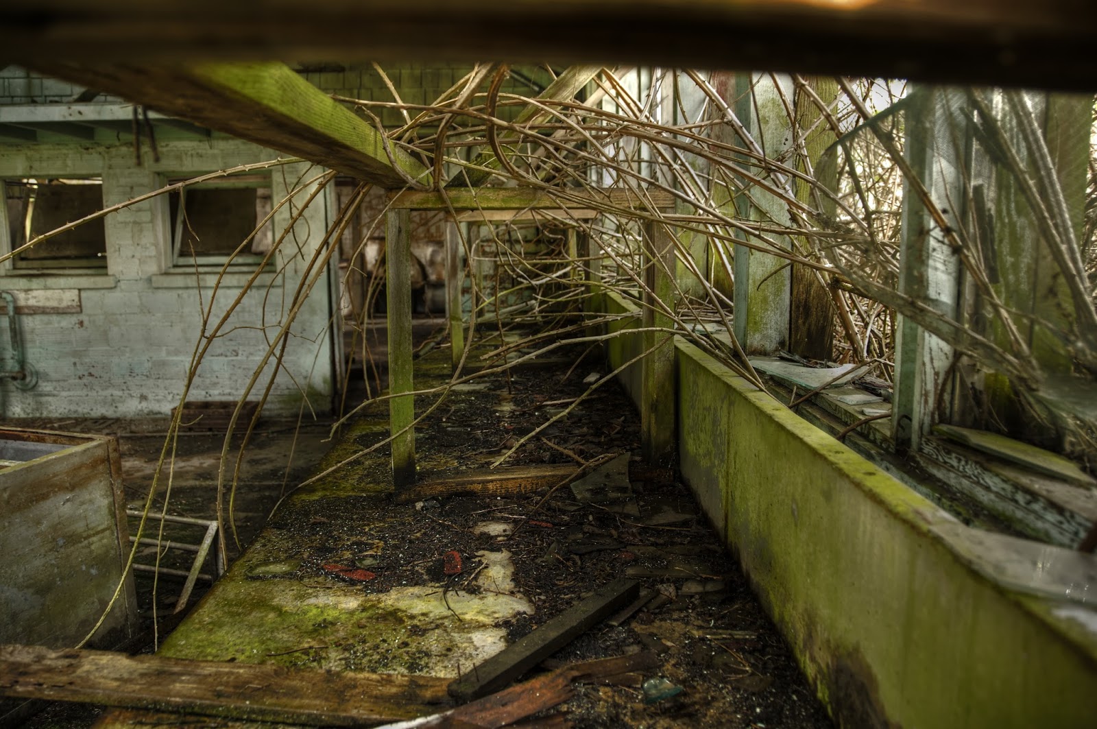 This Life in Ruins: Northern State Hospital Farm