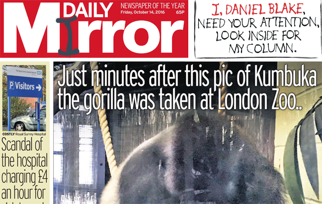 Media Studies: I,Daniel Blake (marketing)