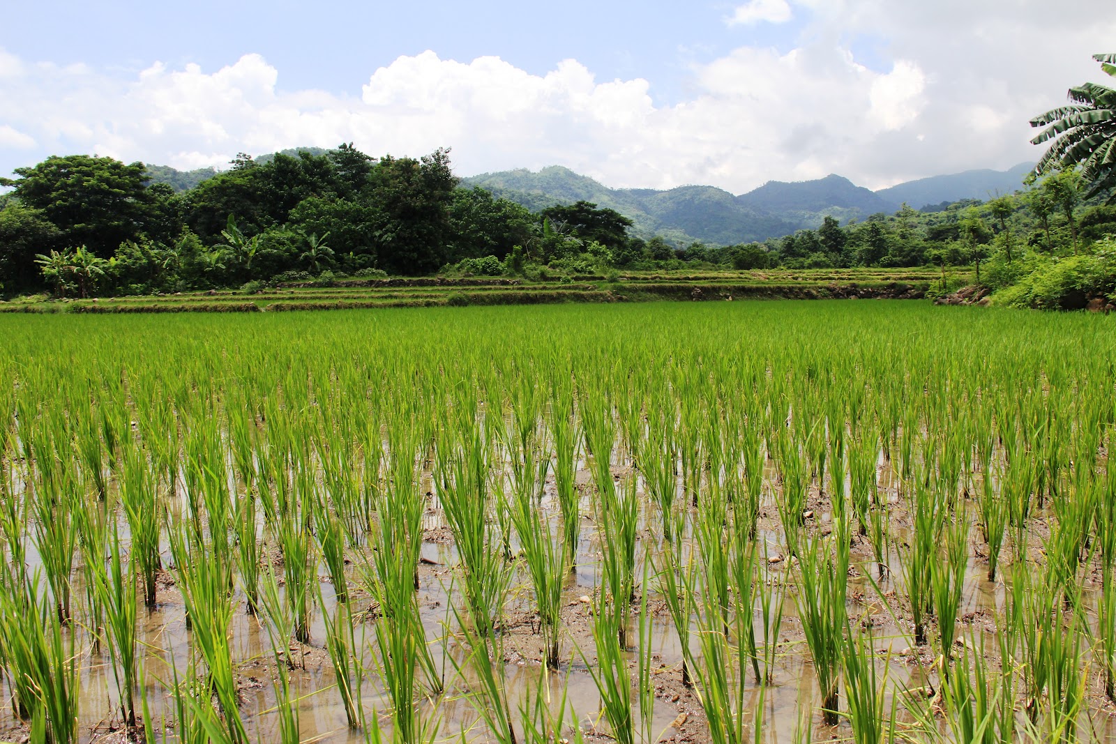 Journey Scrapper: Outdoor Travel In Antong Falls