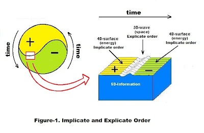 multidimensional world: The Brain and Universe as Hologram