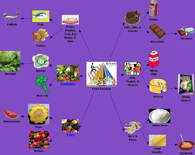 IT 365 SPRING 2013: Food Pyramid Concept Map