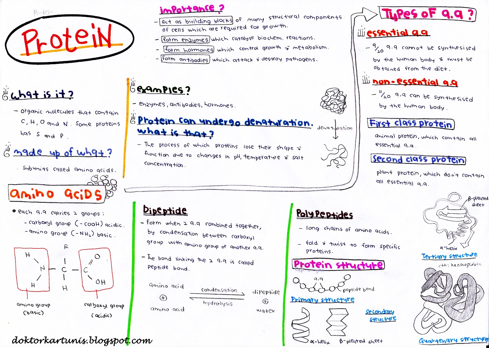 Koleksi Nota SPM: Biology SPM Notes (in English)