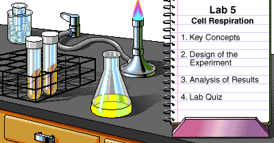 NIOS Practical File Laboratory Manual 10th & 12th @8527203757: Data ...