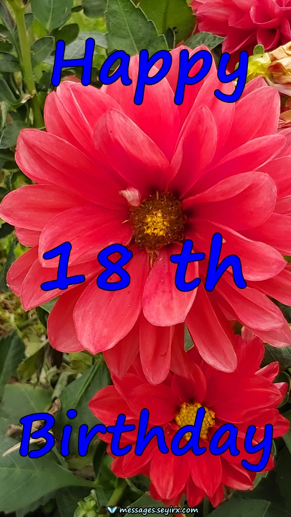 Happy 18th Birthday flowers images