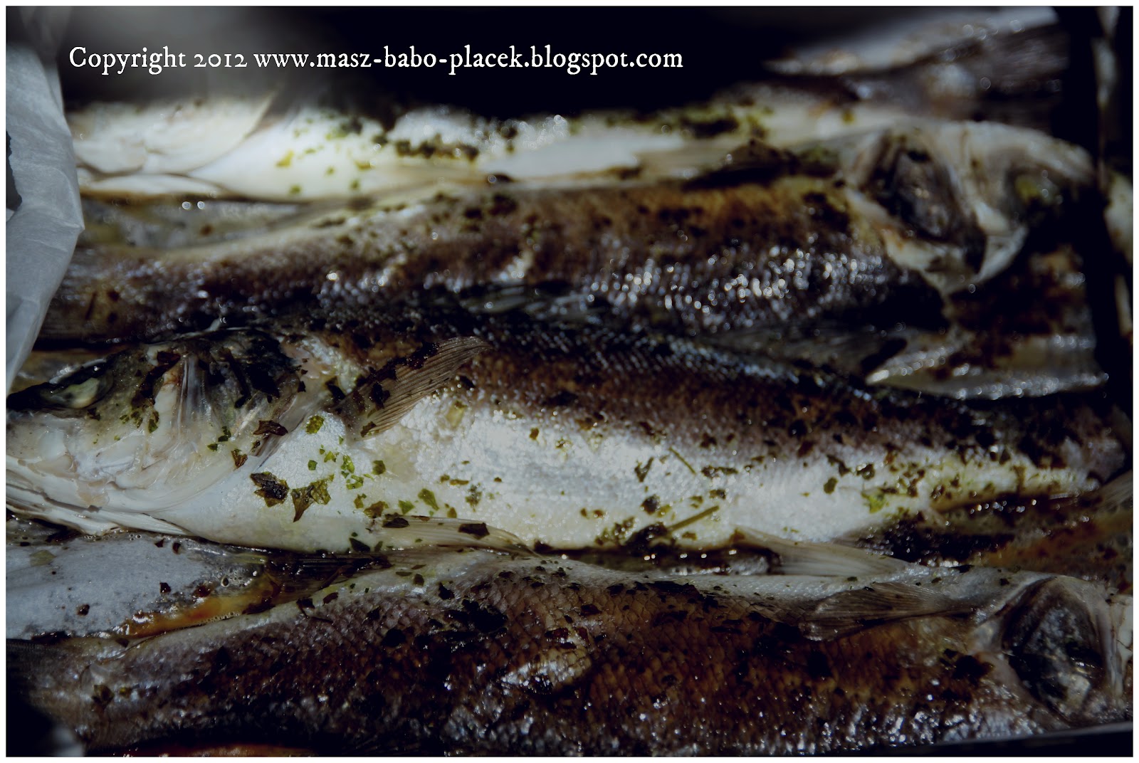 Masz babo placek!: rybka lubi pływać czyli pieczony labraks