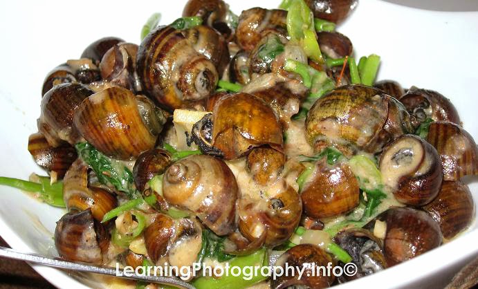 Komal Recipes Collection: Ginataang Kuhol