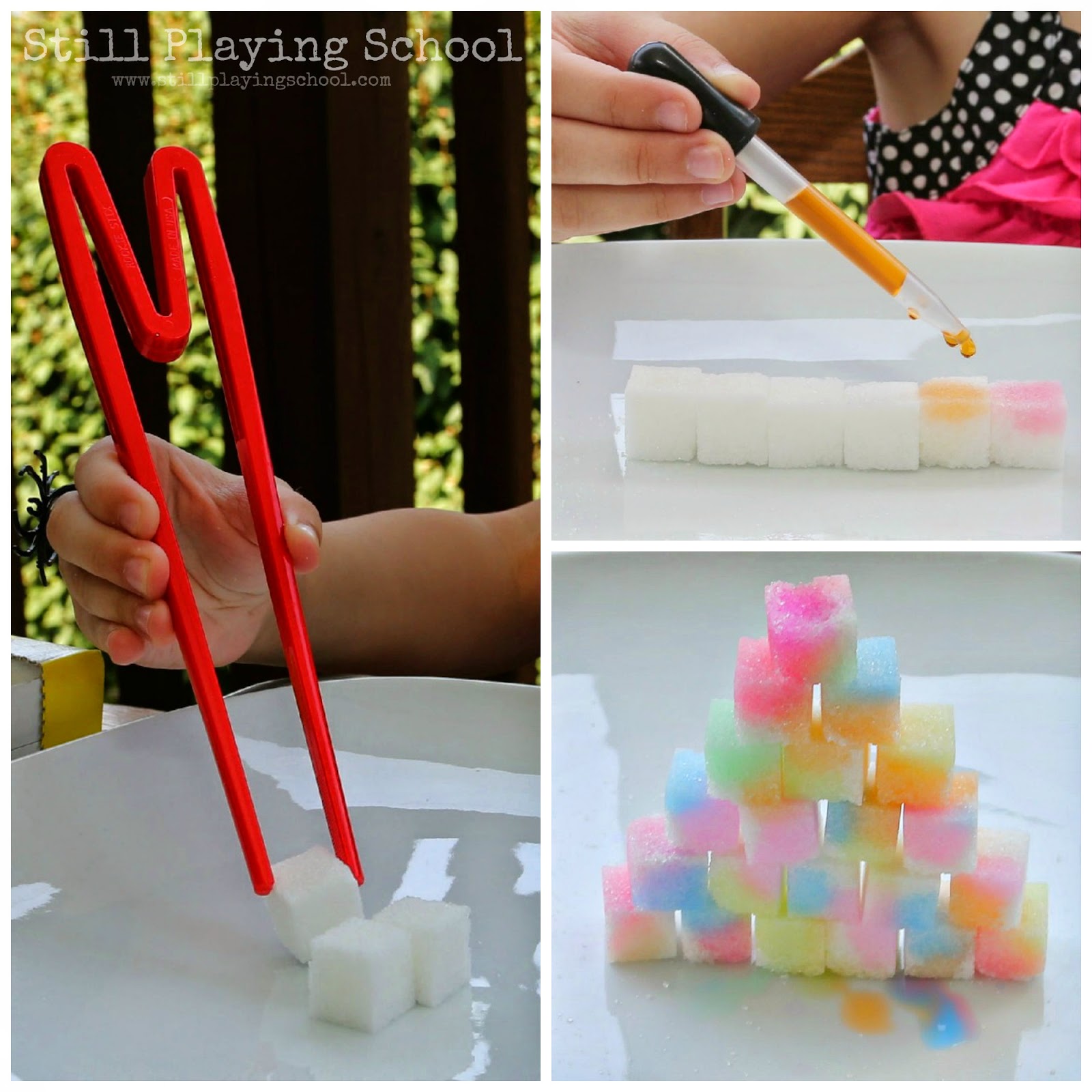 Painting Sugar Cubes | Still Playing School