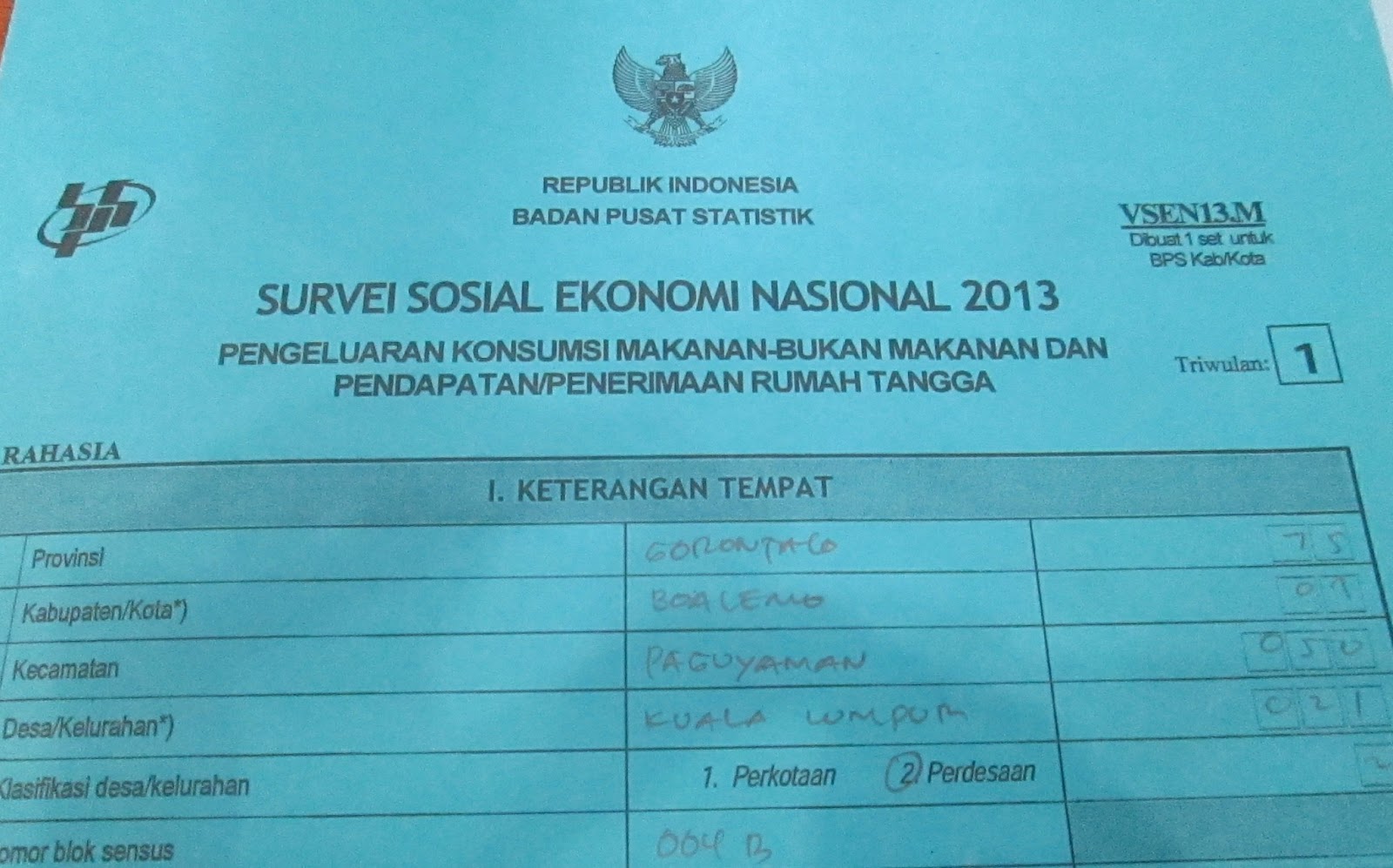 Susenas (Survei Sosial Ekonomi Nasional) ~ Monice and Family