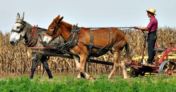 My Heart's Dee~Light: Amish Farm Tools Redesigned for Use on African Farms