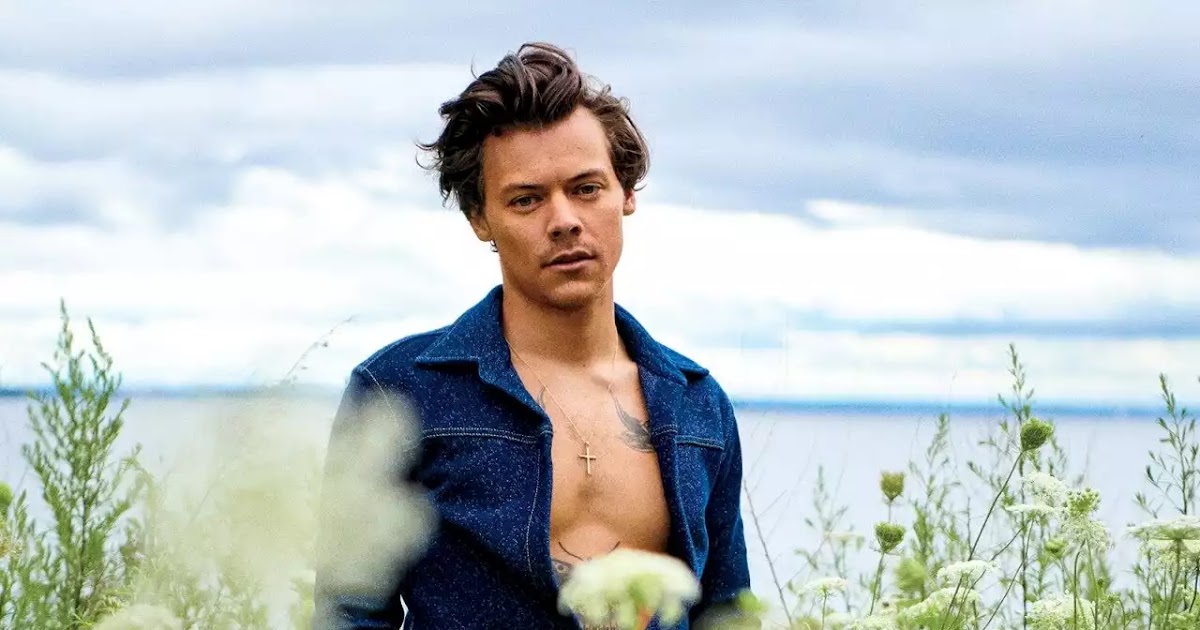 220 Weird Facts About Harry Styles