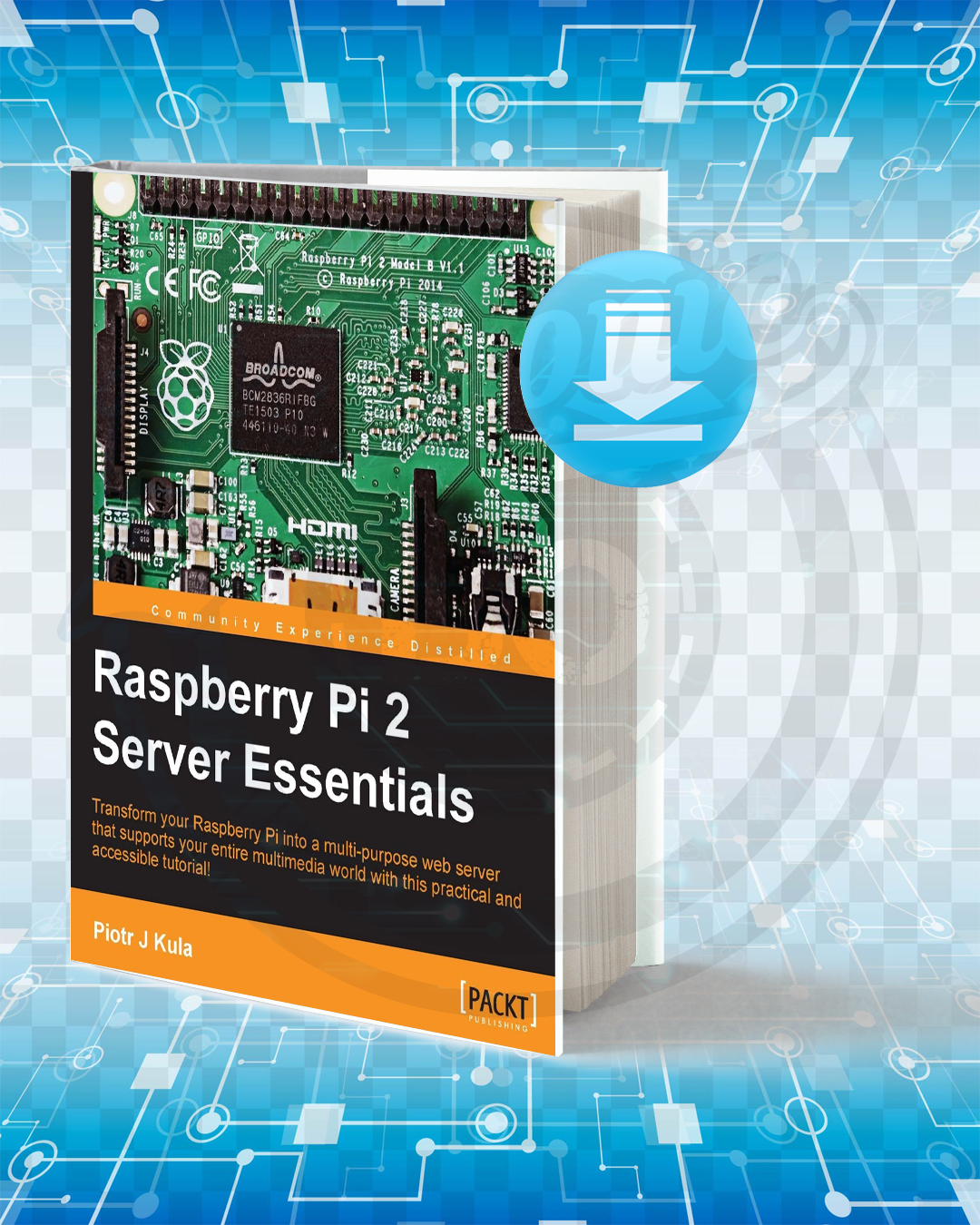 Download Raspberry Pi 2 Server Essentials pdf.