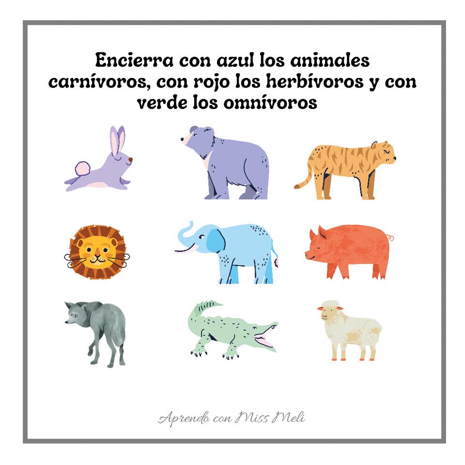 ANIMALES CARNIVOROS, HERBIVOROS Y OMNIVOROS