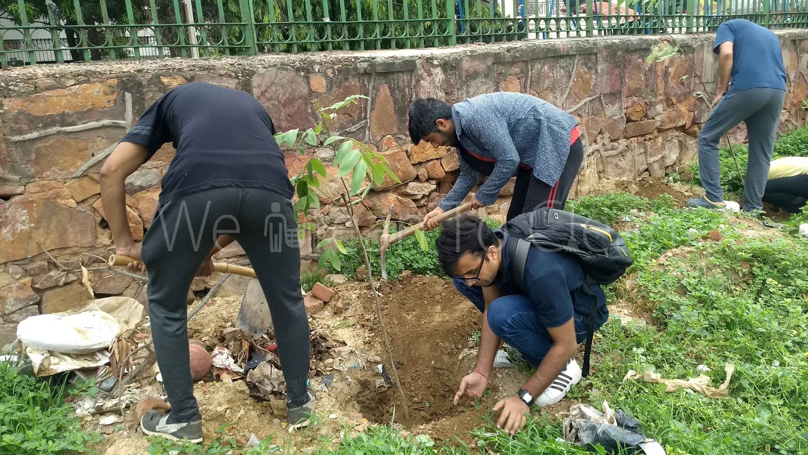 Native Tree Plantation at Ajmal Khan Park, Karol Bagh