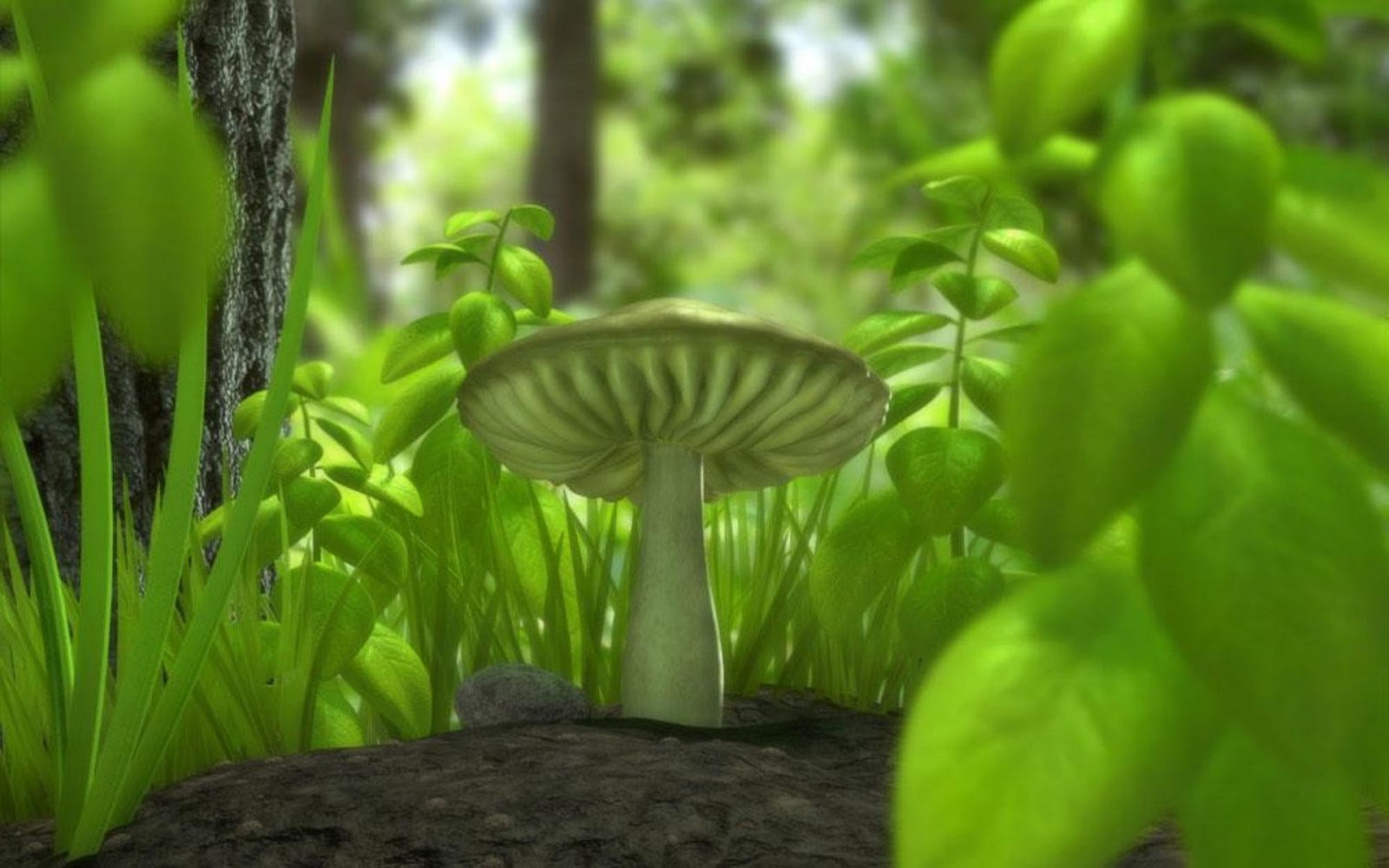 Hongo verde - Imagui