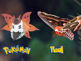 Meet the Real-life Version of your Favourite Bug-type Pokémons here ...